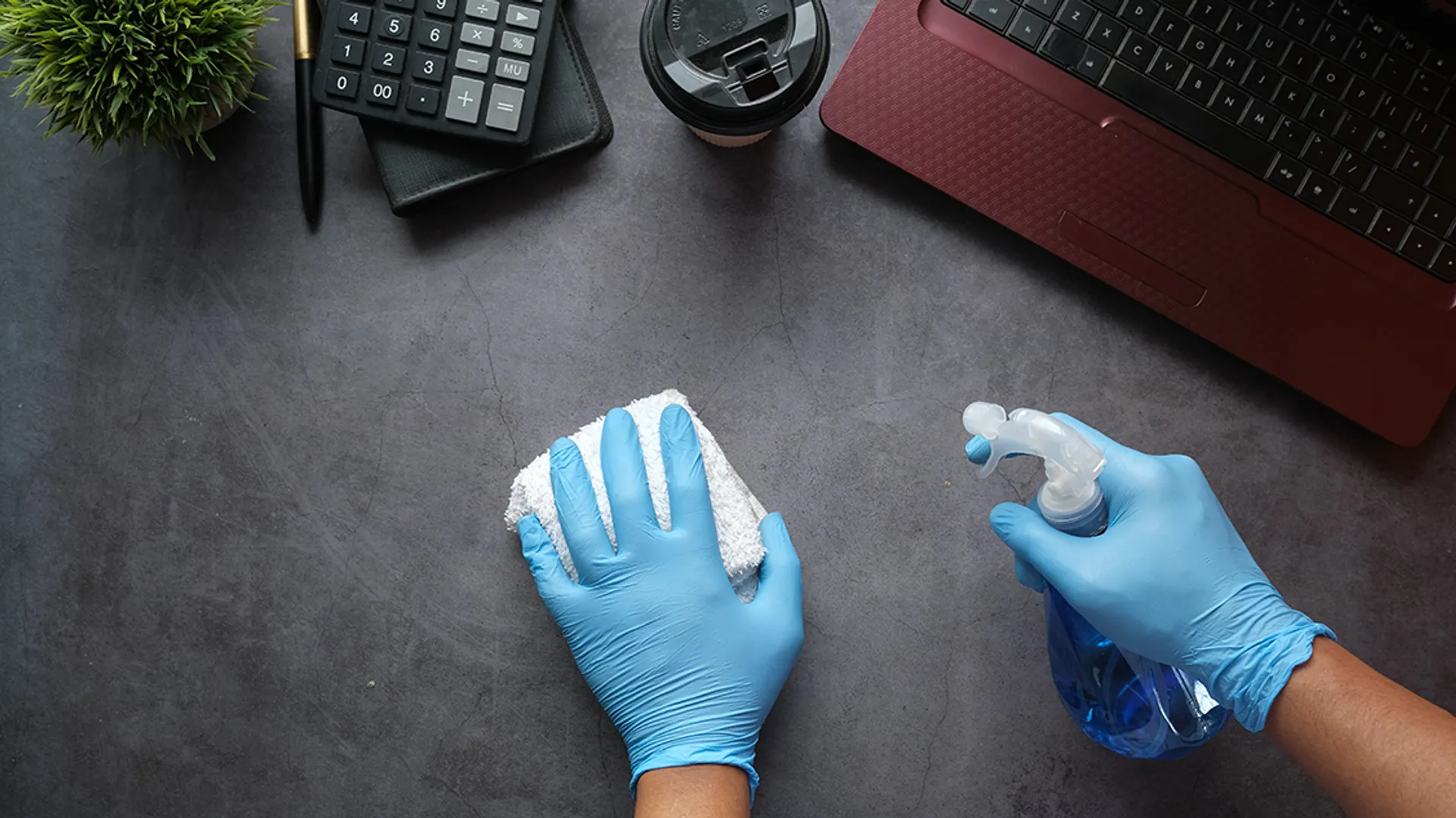 Bleek: Waar gebruik je het wel (en niet) voor tijdens de schoonmaak ...