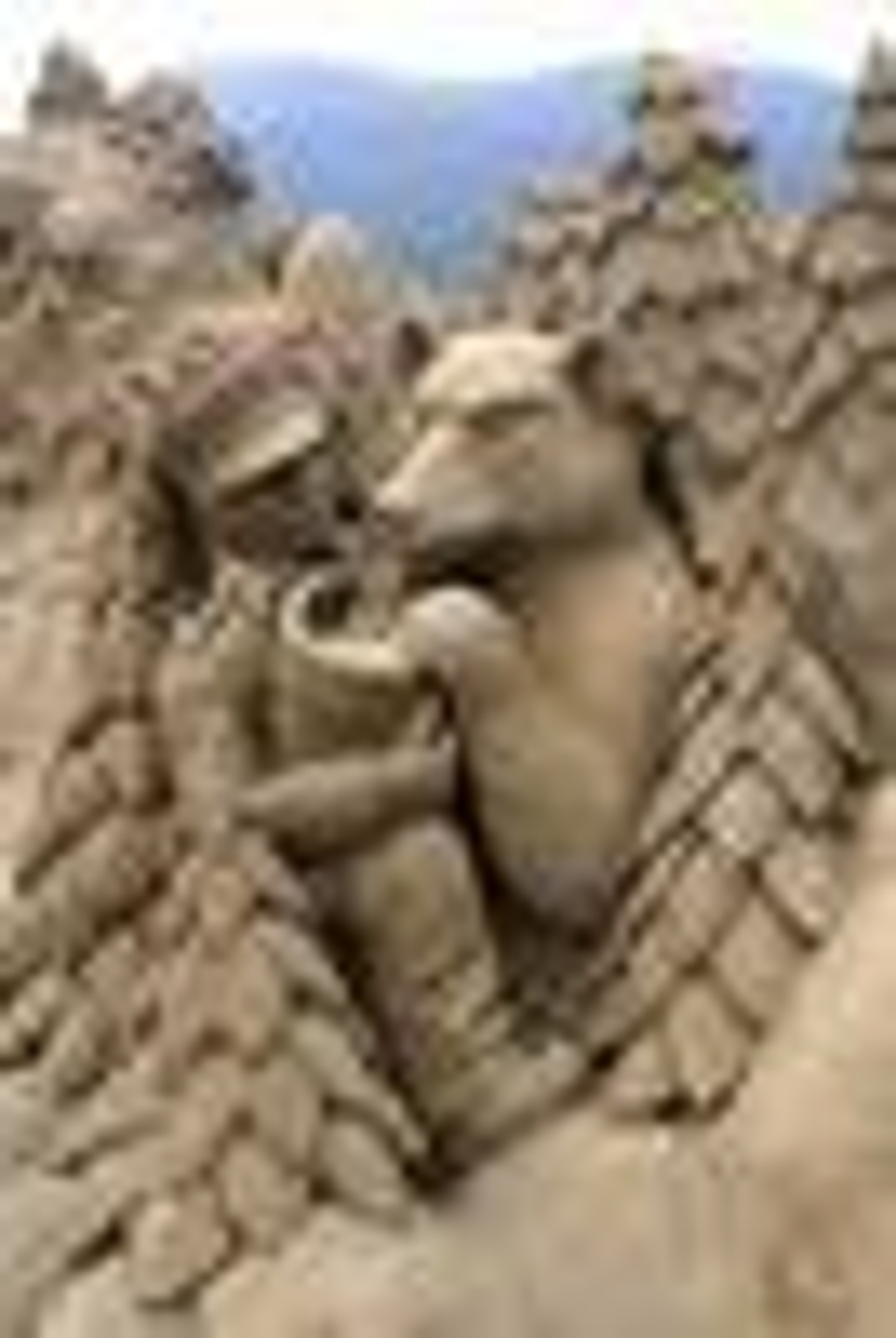 Prefetch-map leegmaken - Kassa - BNNVARA