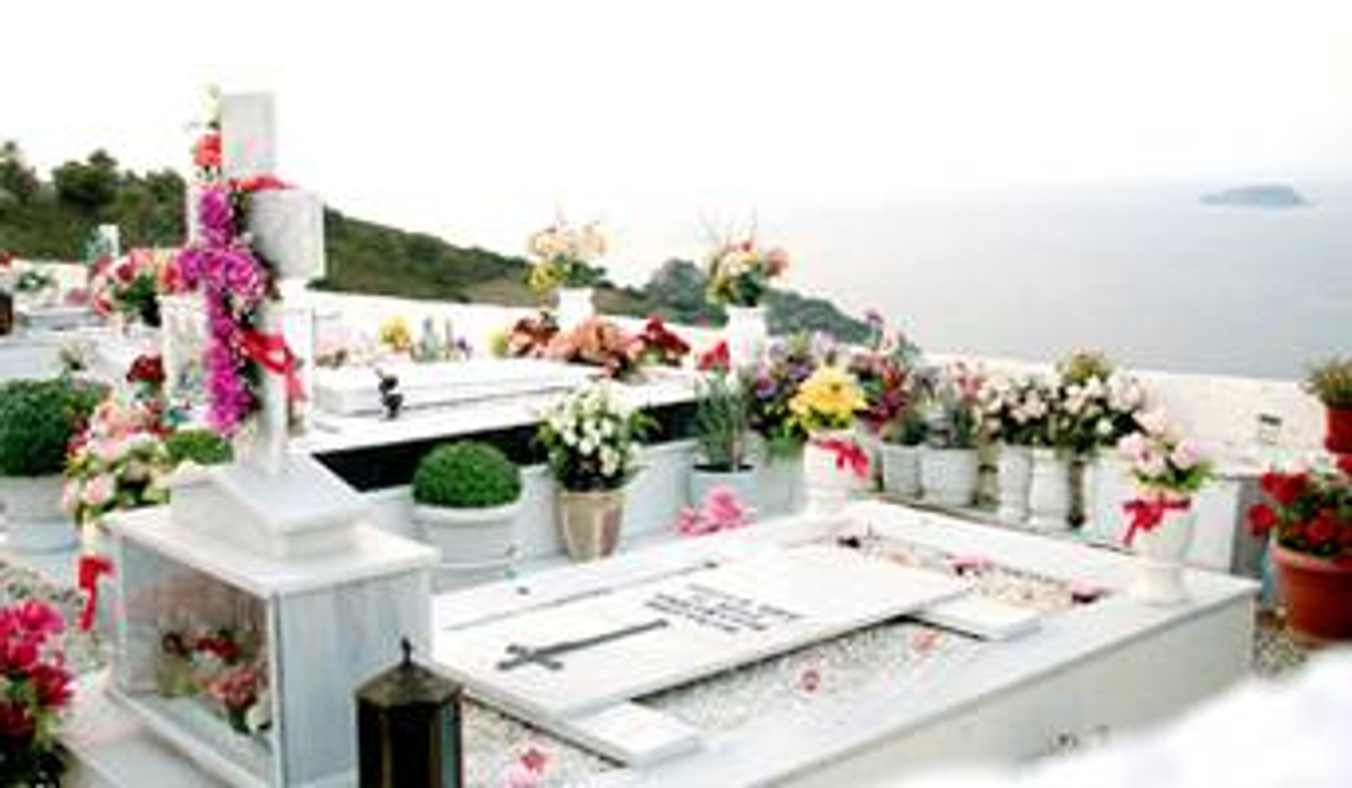 Doodgaan wordt steeds duurder - Kassa - BNNVARA